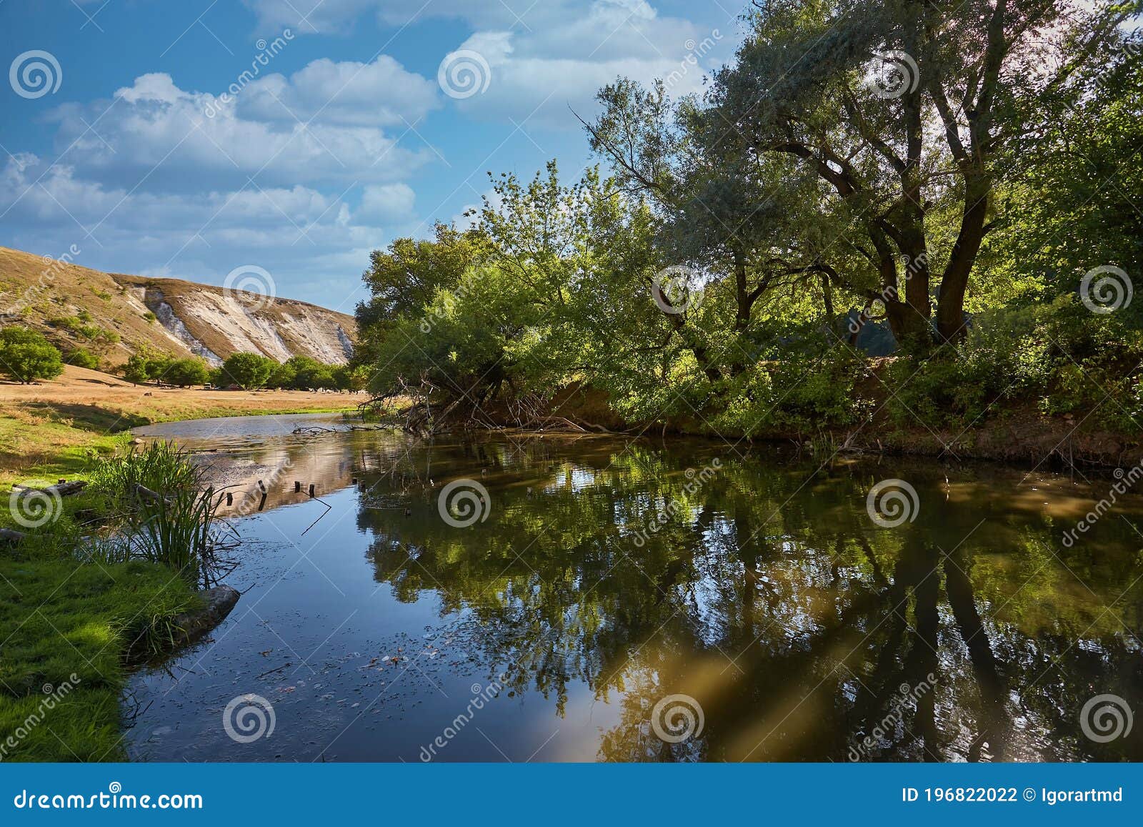 Beautiful River, a Lot of Greenery and Trees Stock Photo - Image of ...