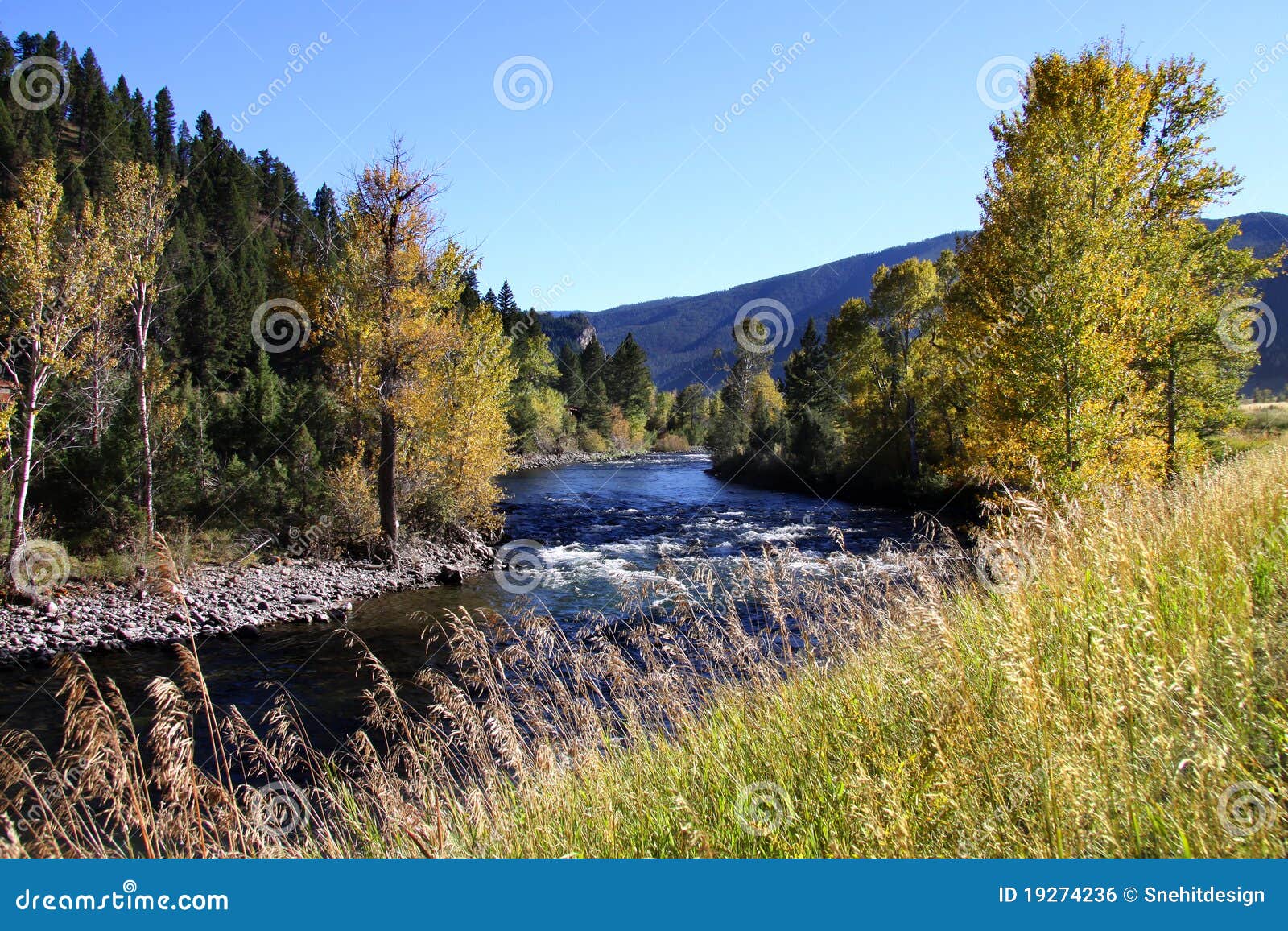 Beautiful river scene stock photo. Image of natural, peaceful - 19274236