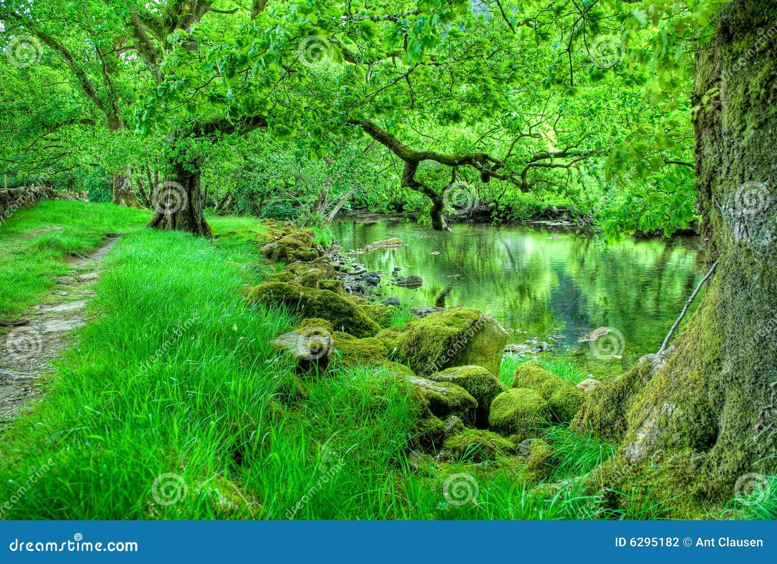 Beautiful River Scene stock photo. Image of environment - 6295182