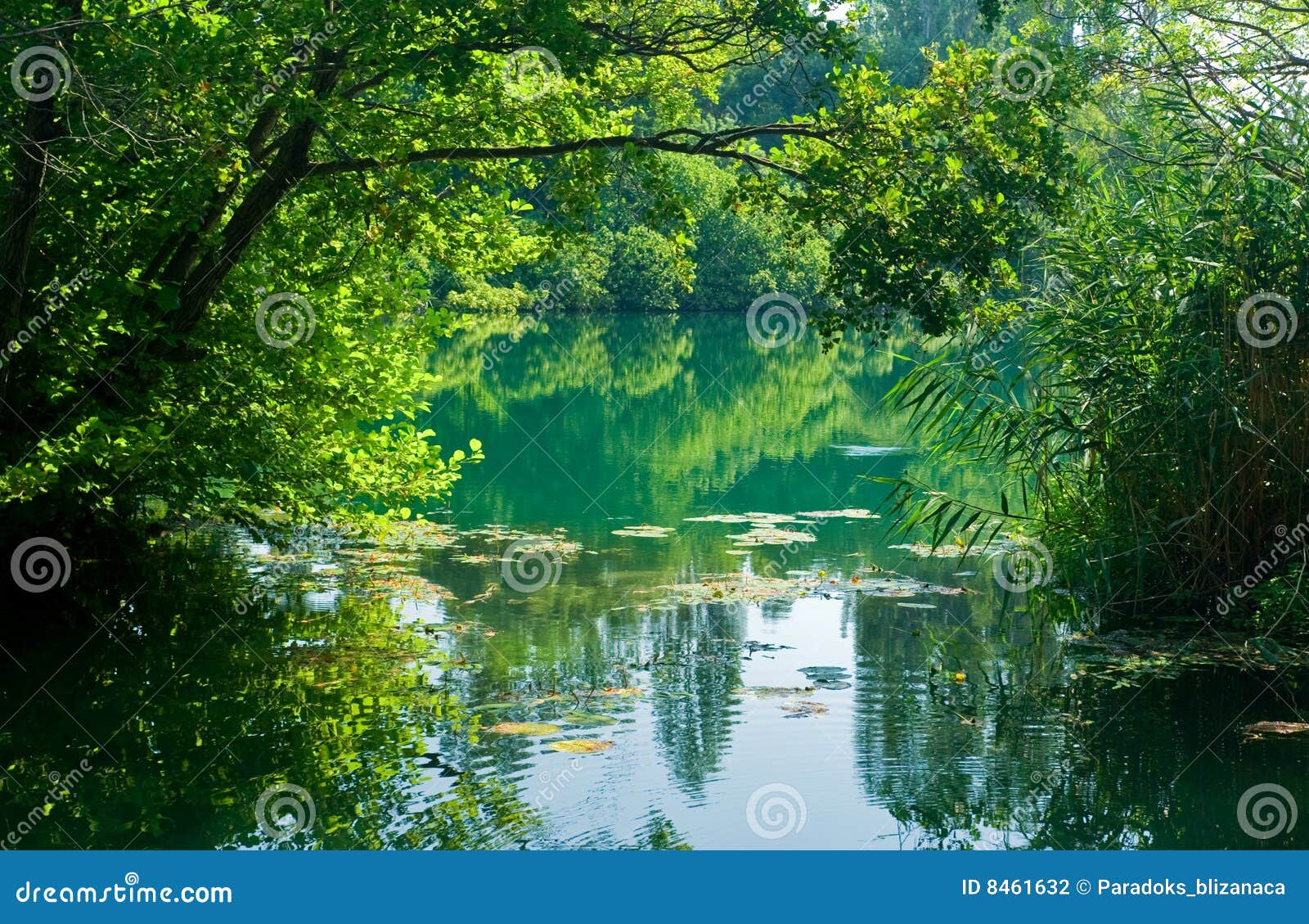A River Scene In England With Trees Shrouded In Mist Stock Photo ...