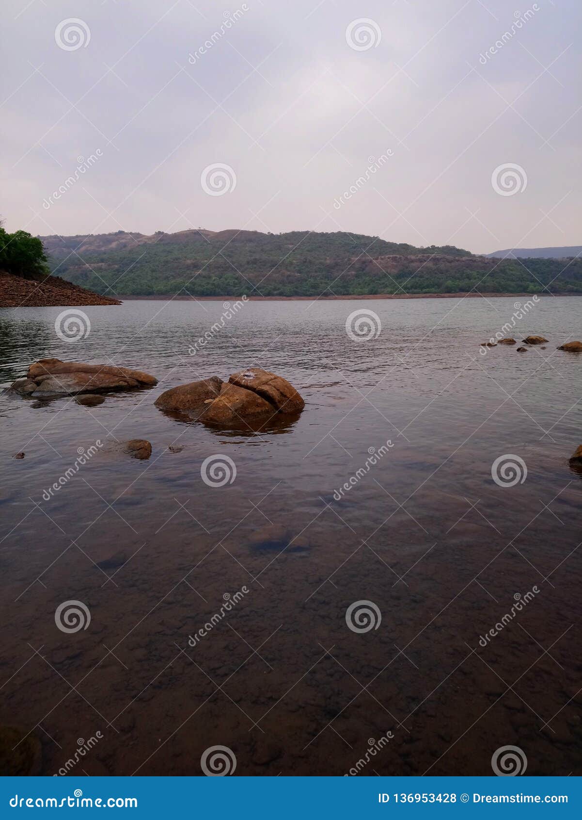 Beautiful River Side View in the Evening Stock Photo - Image of look ...