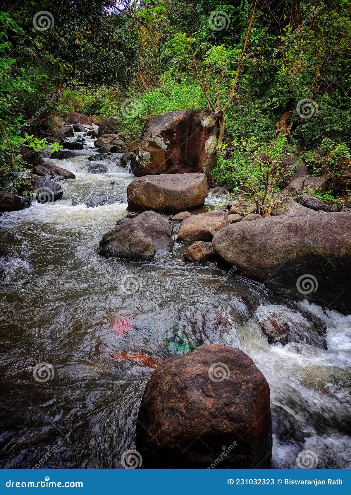Beautiful River Stream Running through Rocks in Asian Rain Forest Hd ...