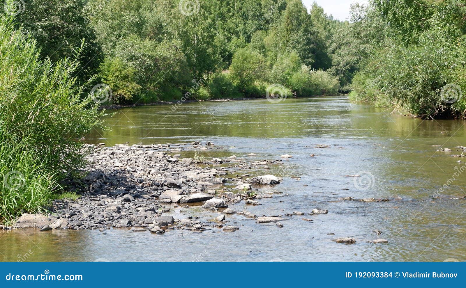 Beautiful river in summer stock photo. Image of forest - 192093384