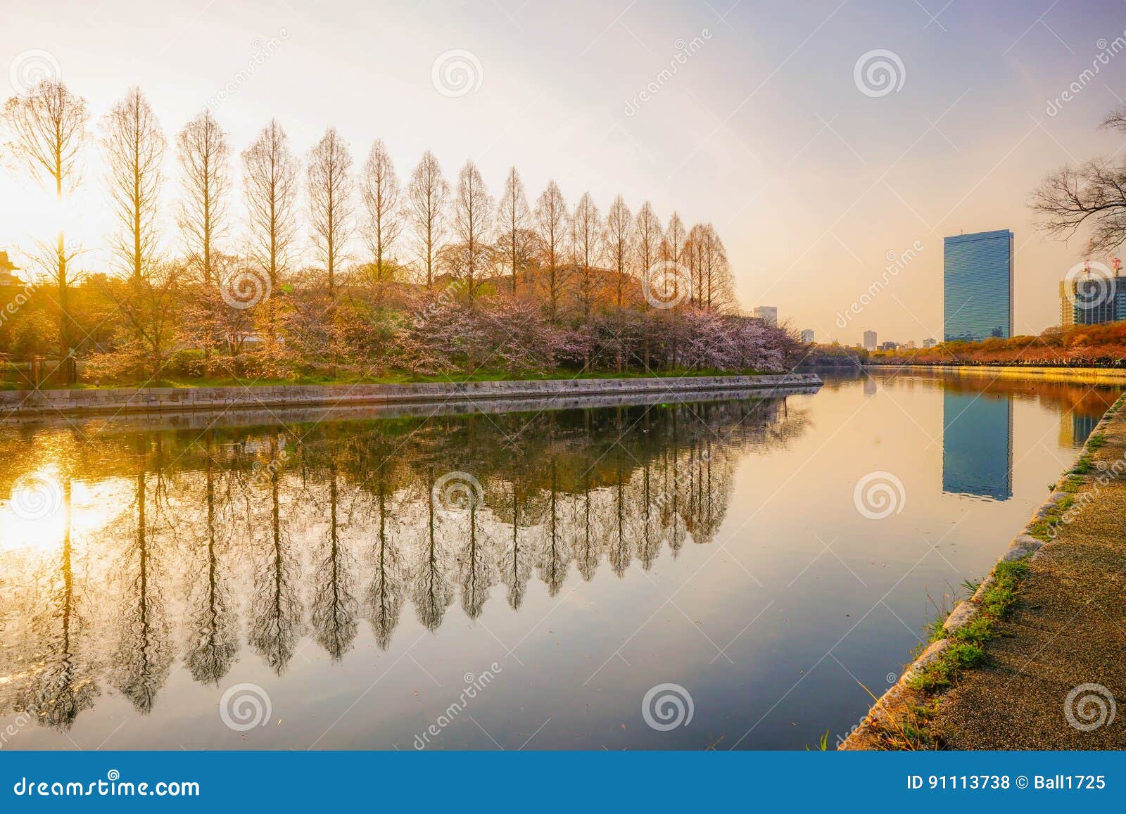 Beautiful River with Tree and Tower Reflection Stock Photo - Image of ...