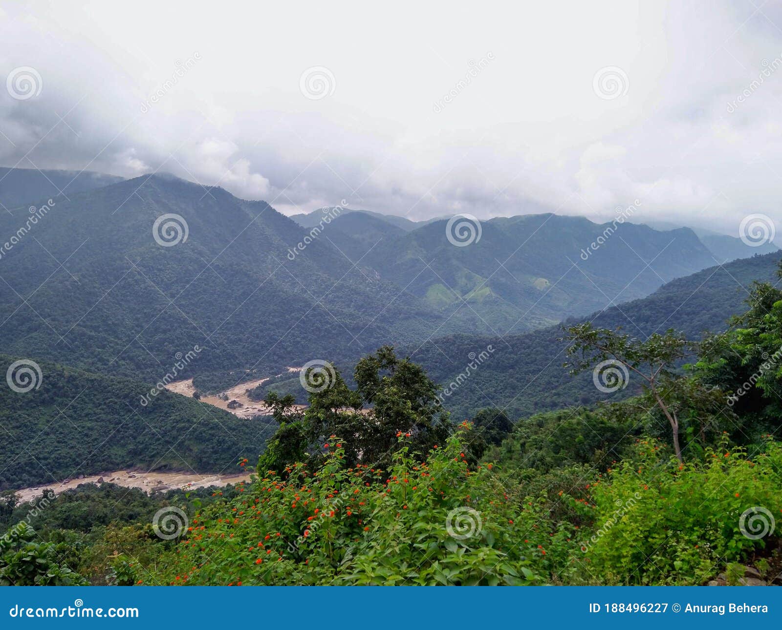 Beautiful River Valley of Eastern Ghats Stock Image - Image of eastern ...