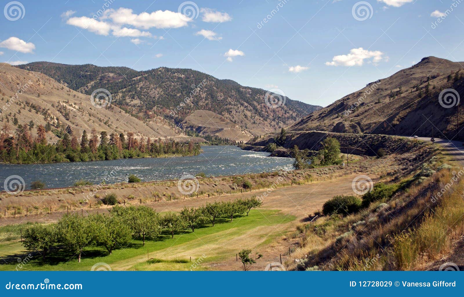 Beautiful River Valley in Wine Country Stock Image - Image of forest ...