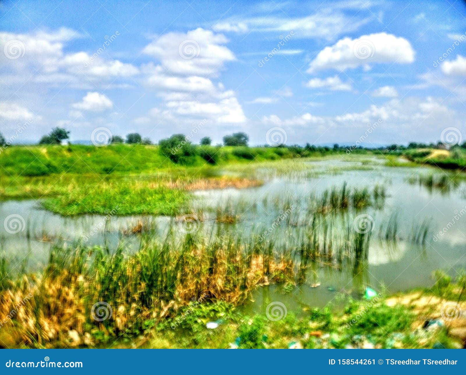 Beautiful River Water in India... Stock Image - Image of beautiful ...