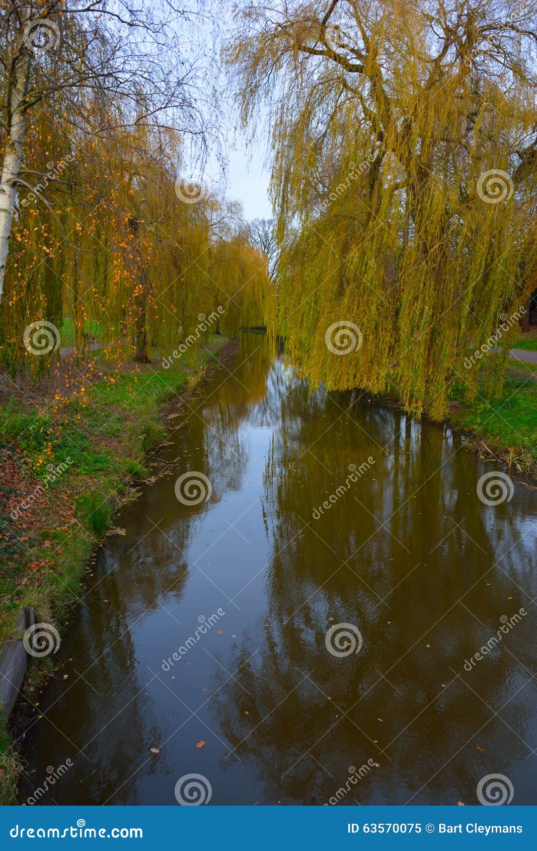 Beautiful River and Weaping Willows Stock Image - Image of autumn ...