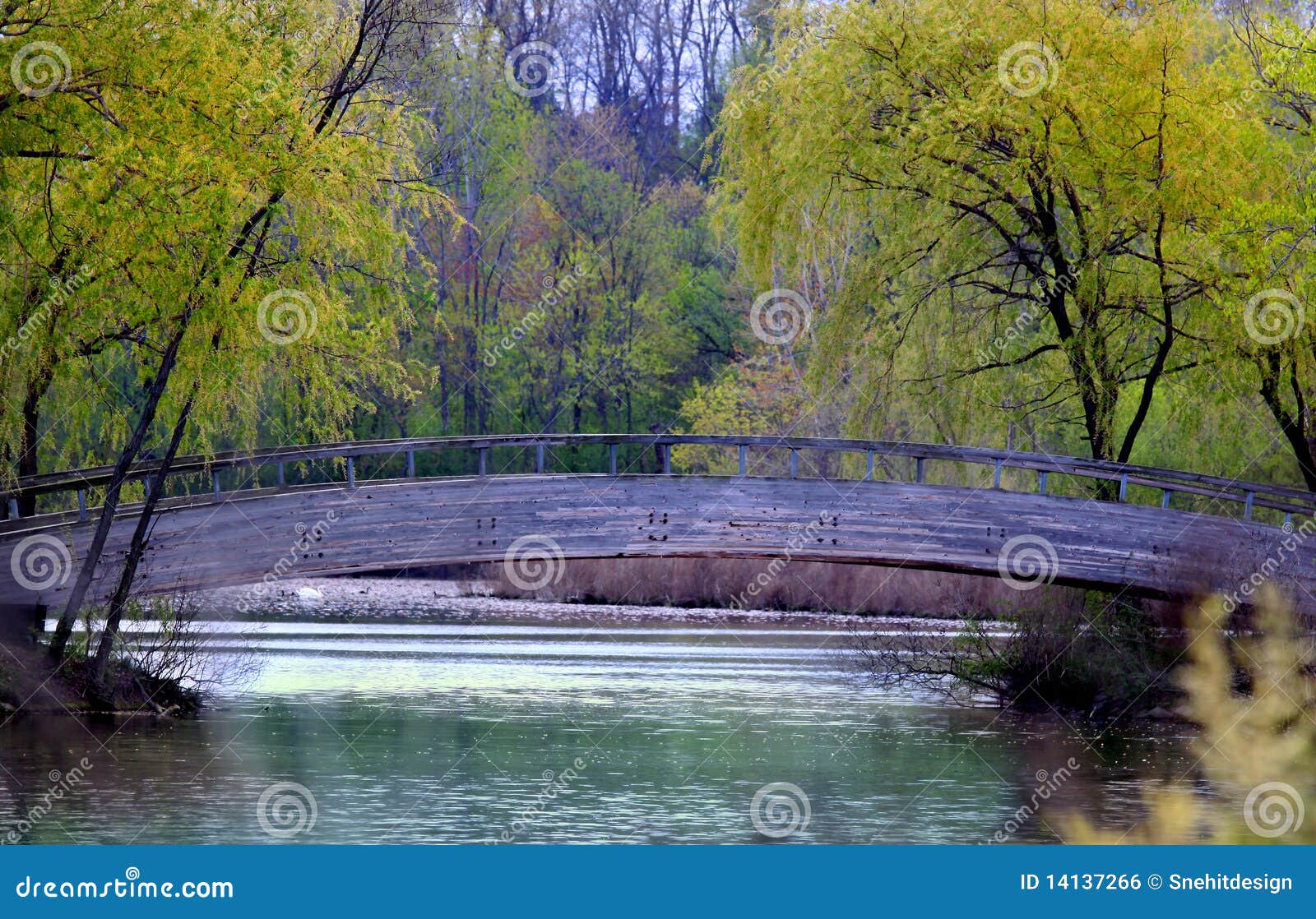 Beautiful riverscape stock photo. Image of trees, outdoors - 14137266