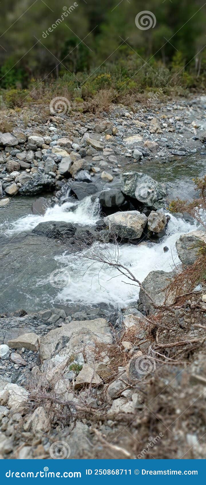 Beautiful Riverside Adventure Stock Image - Image of cliff, beautiful ...