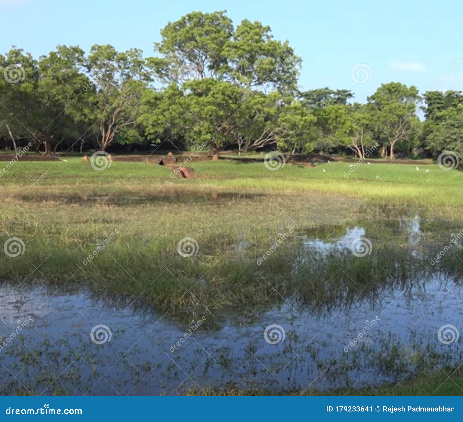 Beautiful Riverside Lake stock image. Image of plain - 179233641