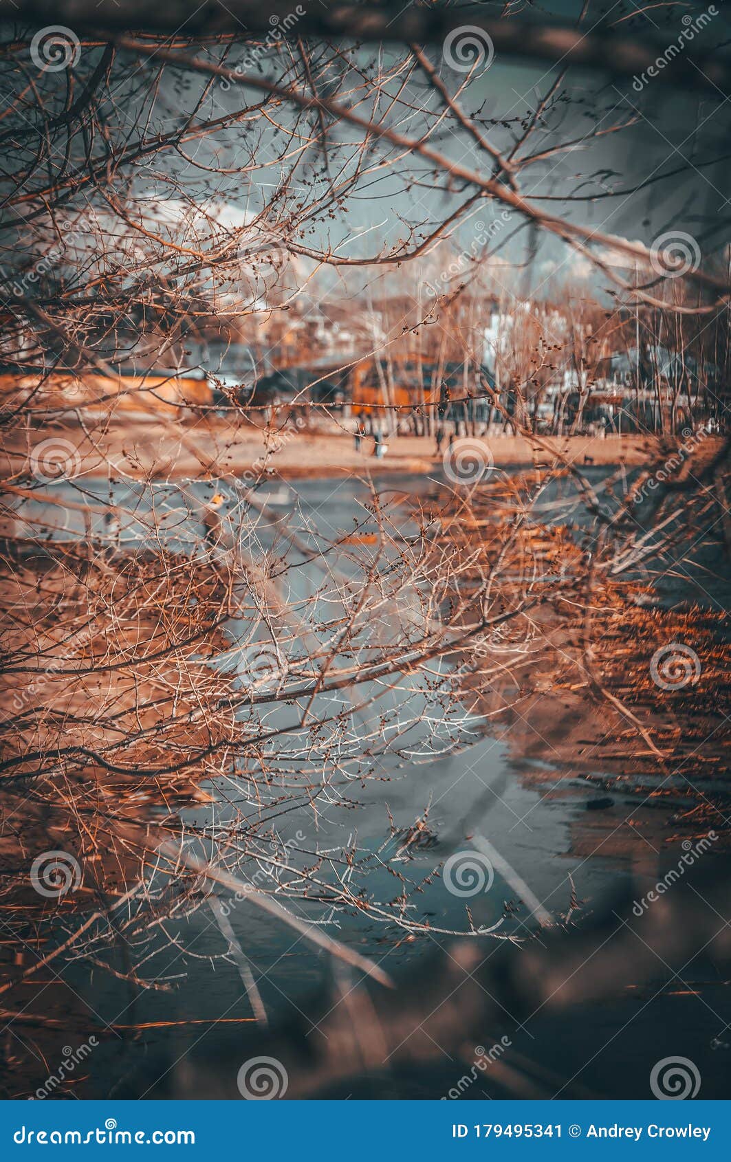 Beautiful Riverside on Sunset Stock Image - Image of beautiful, branch ...