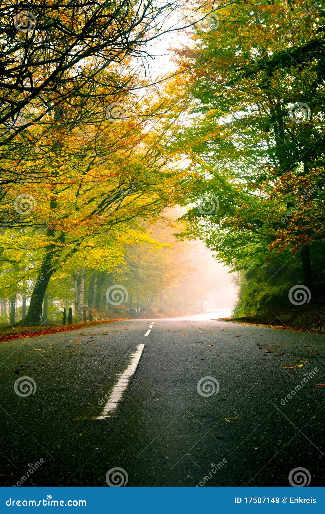 Beautiful road stock photo. Image of branches, path, october - 17507148