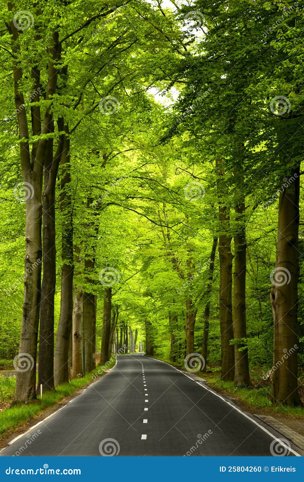Beautiful road stock photo. Image of landscape, perspective - 25804260
