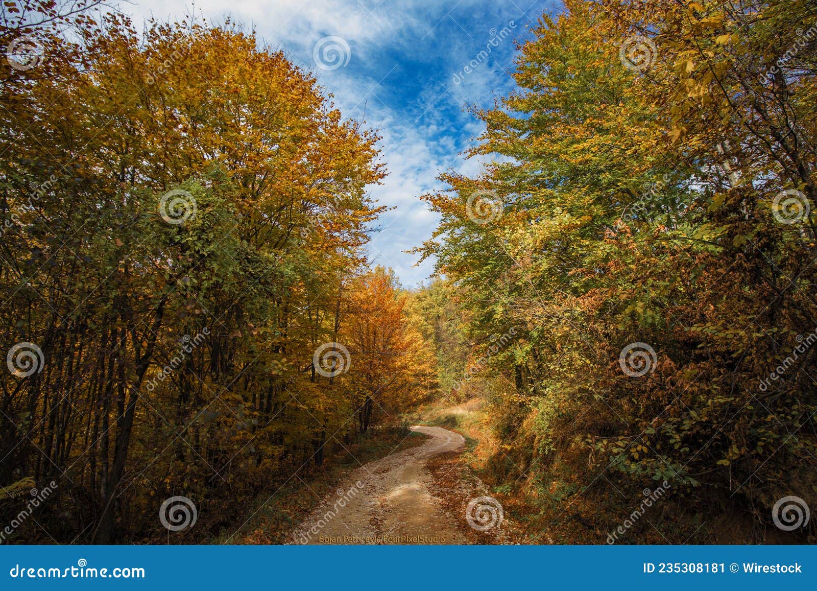 Beautiful Road with Autumn Trees Stock Image - Image of trees, season ...