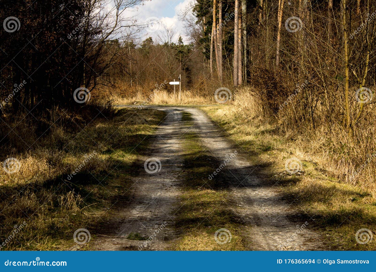 Beautiful Road in the Forest. Bright Sky. Long Road in the Spring ...