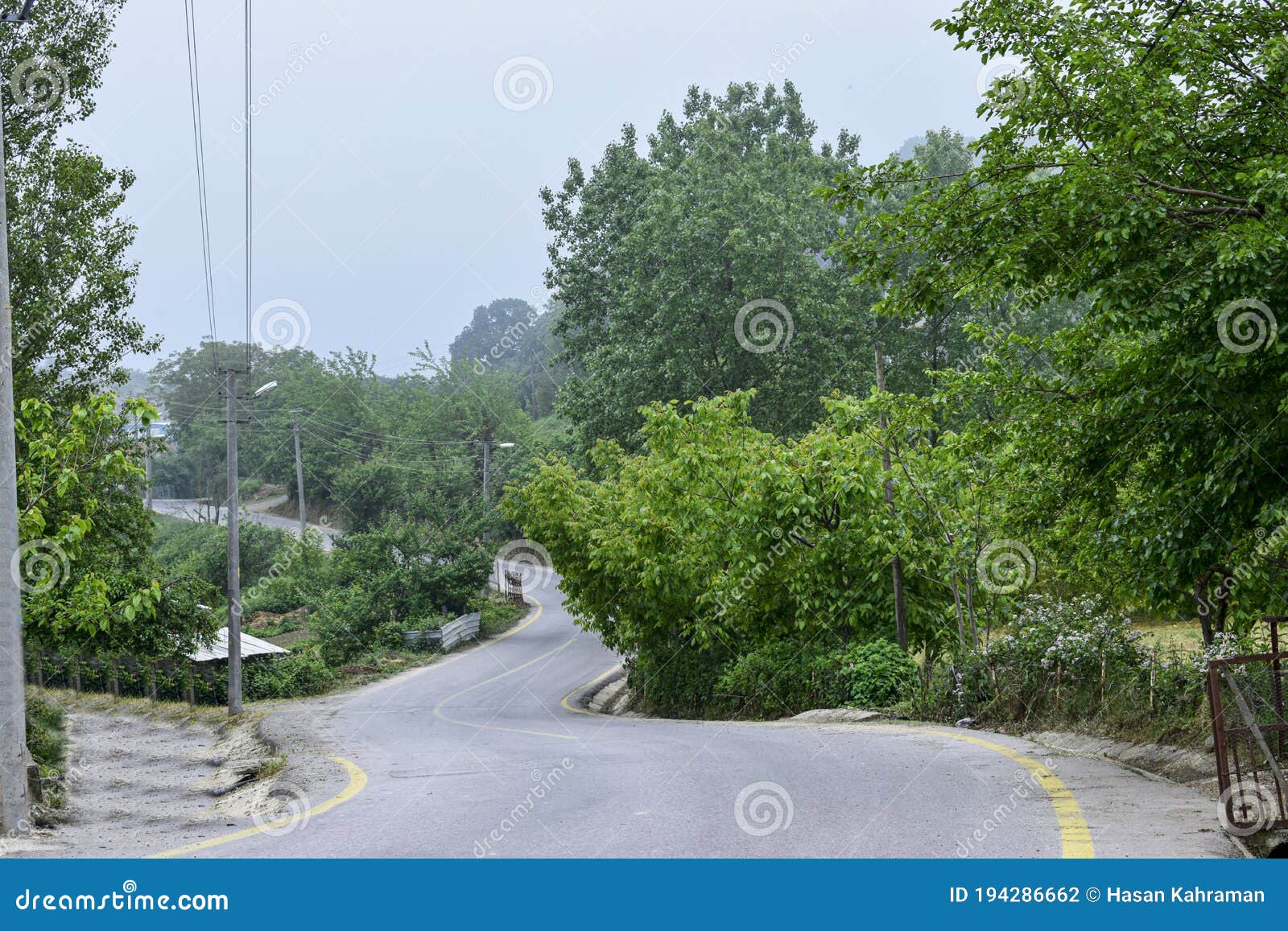 A Beautiful Road in the Green Stock Photo - Image of housesn, green ...