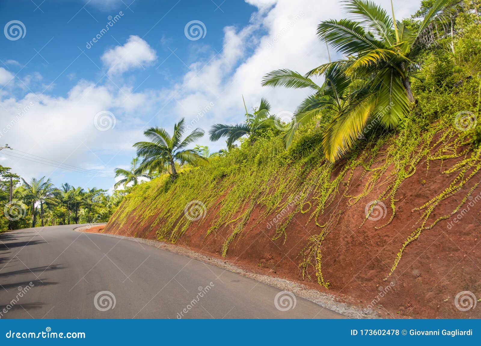 Beautiful Road of Mauritius Countryside Stock Photo - Image of asia ...