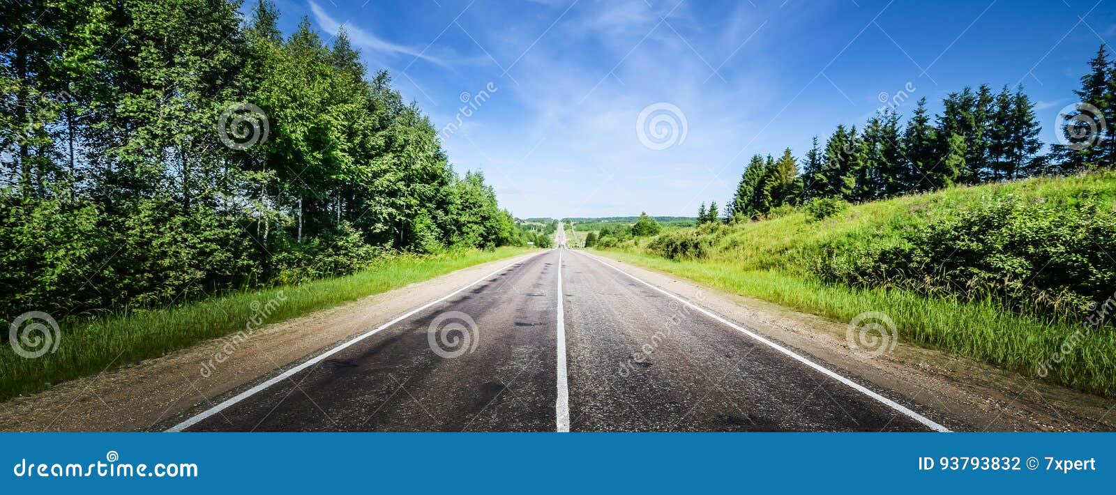 Beautiful Road Panorama in Forest Stock Photo - Image of back, trip ...