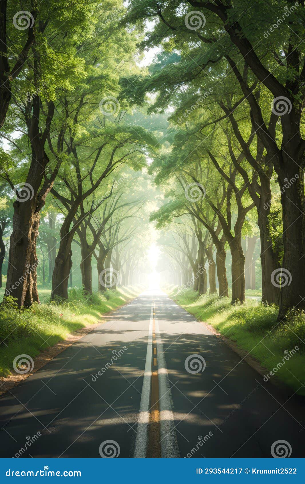 Beautiful a Road with a Row, through a Tunnel Forms of Old Oak Trees of ...