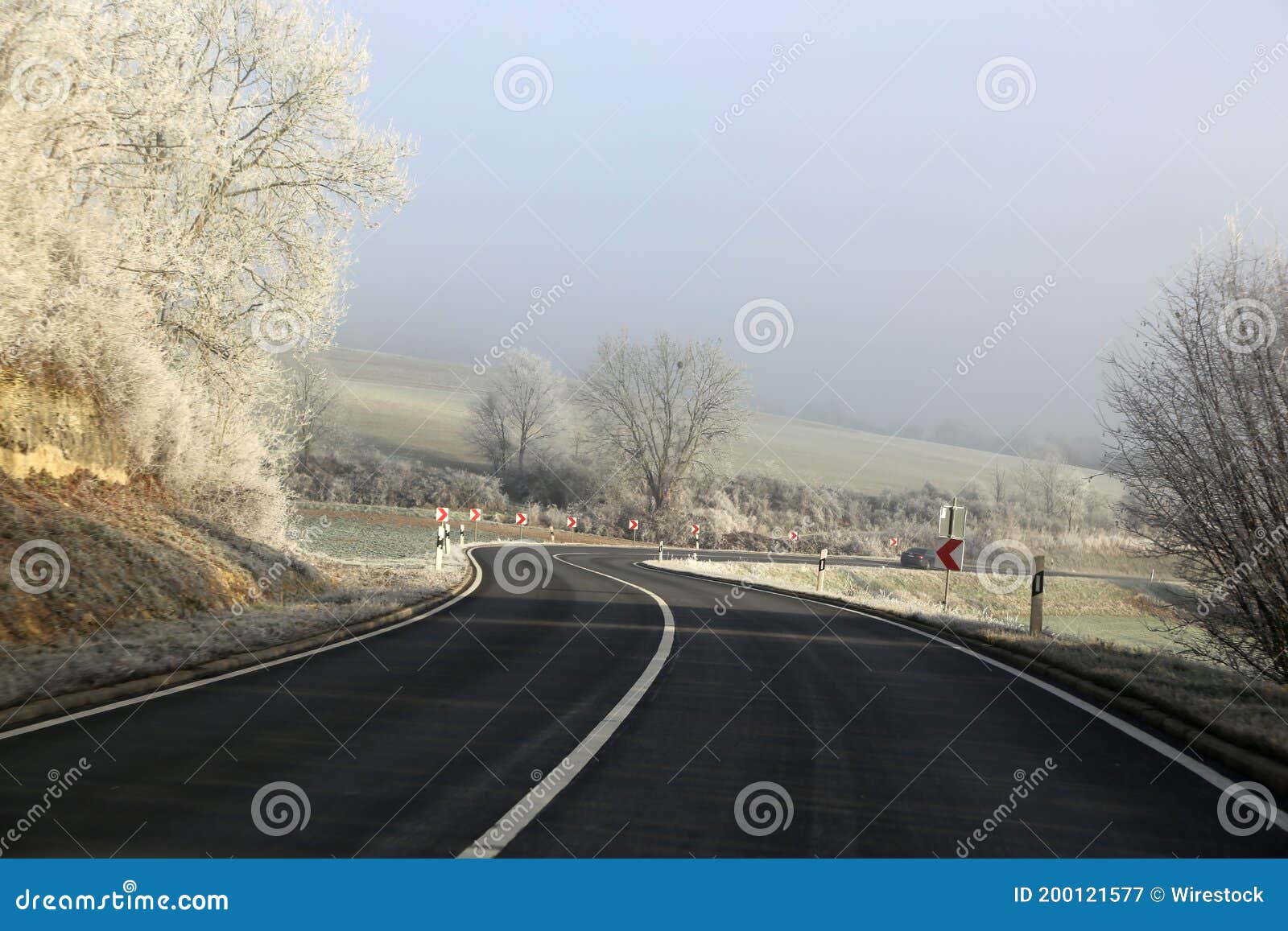 Beautiful Road Surrounded by Trees and Fields Stock Image - Image of ...