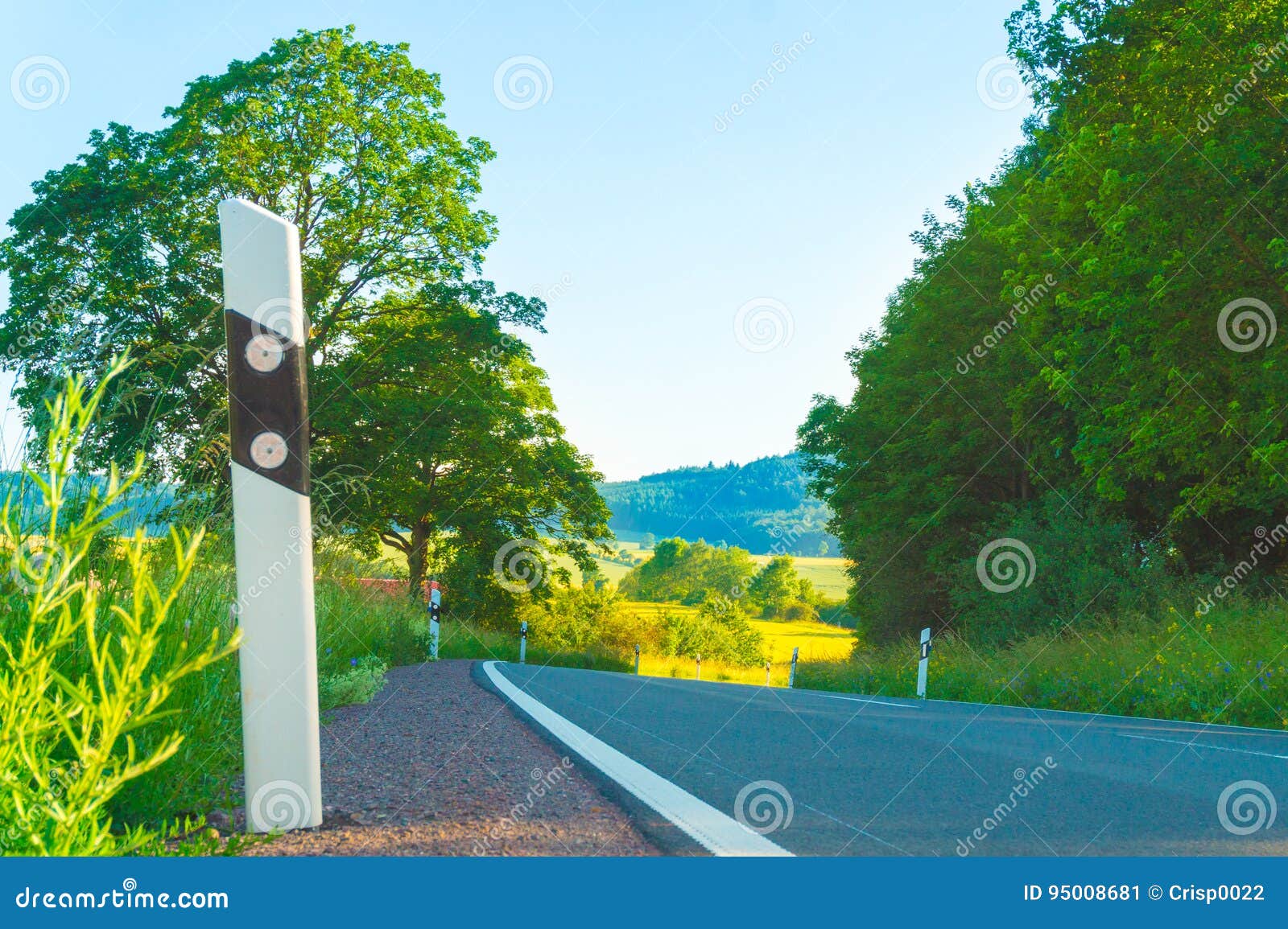 Beautiful road with trees stock image. Image of field - 95008681