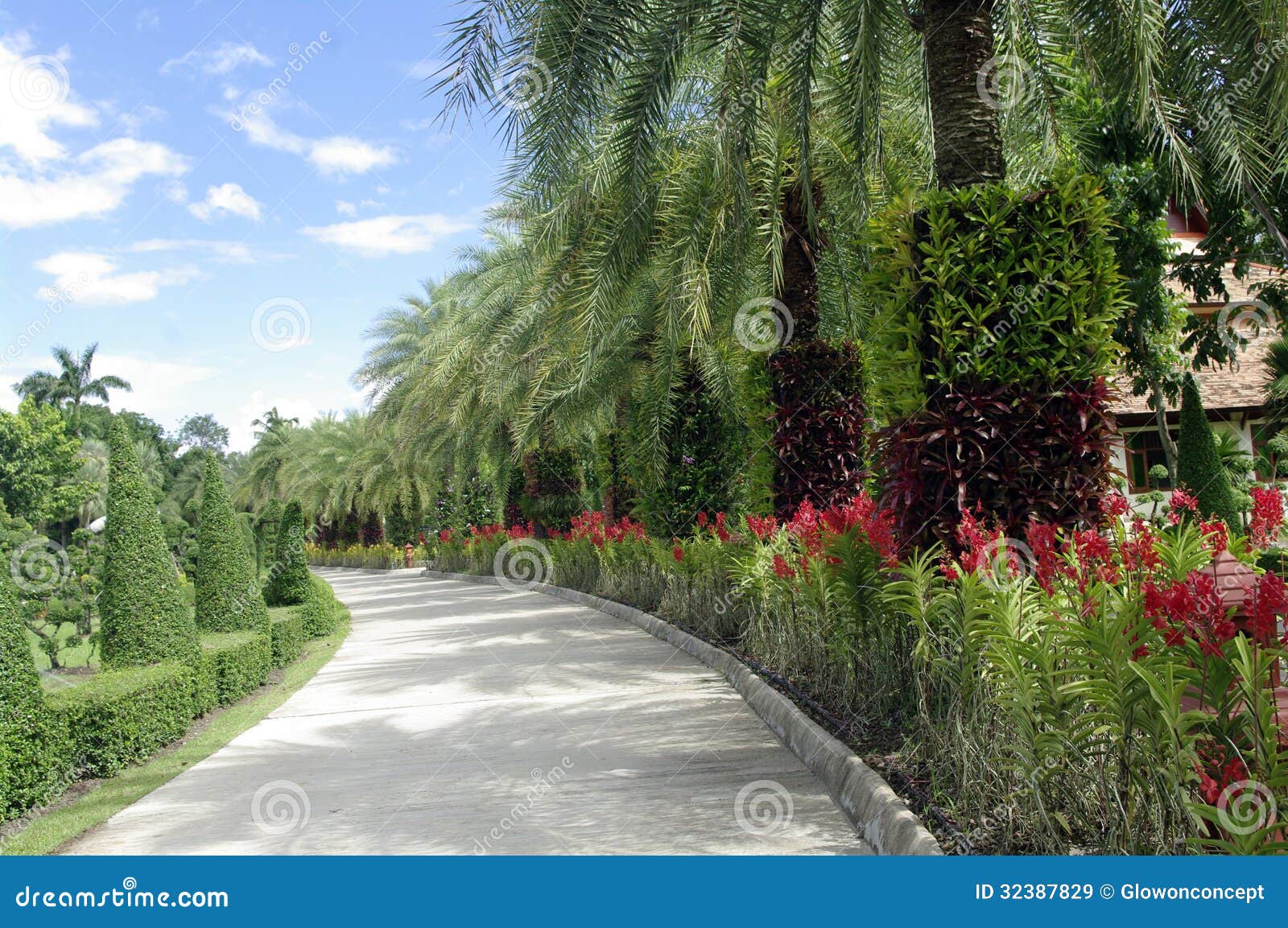 Beautiful road with trees stock image. Image of beauty - 32387829