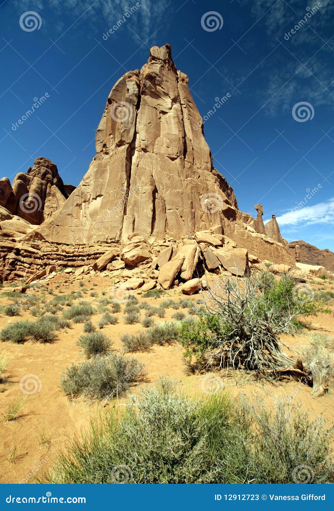Beautiful Rock Formation and Plants Stock Image - Image of geologic ...