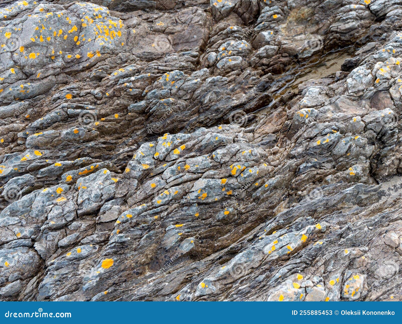 Beautiful Rock. Stone Close-up, Full Frame Stock Image - Image of copy ...
