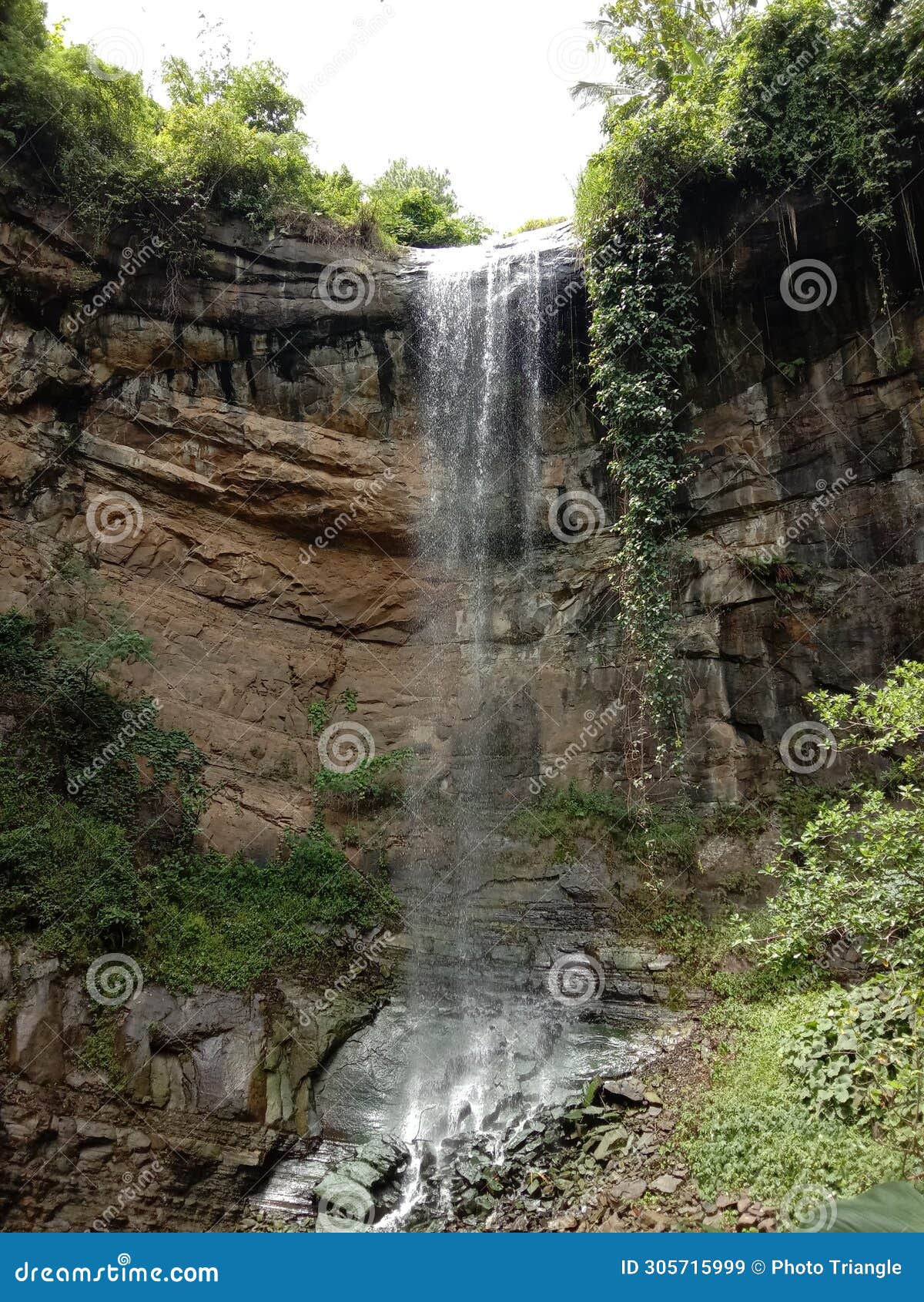 Beautiful Rock Wall at Waterfall with Plants Stock Image - Image of ...