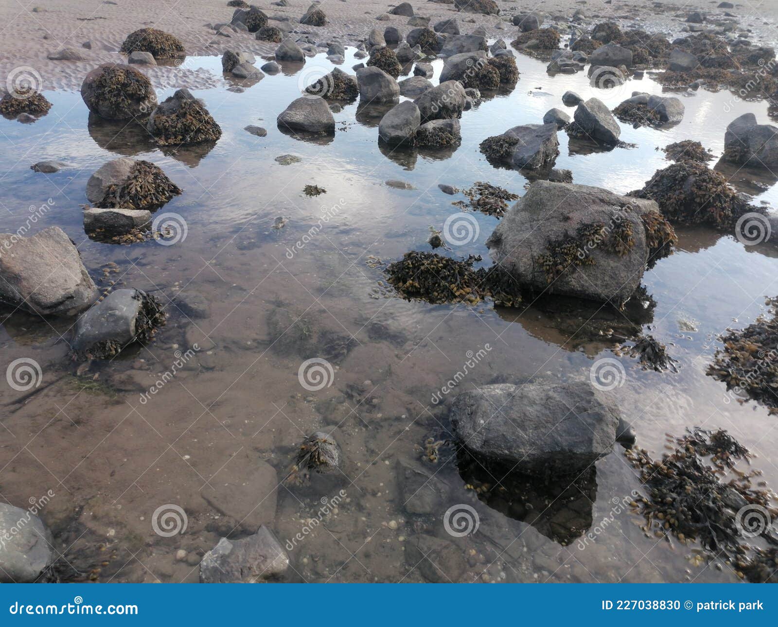 The Beautiful Rocks Left from the Tide Going Out Stock Photo - Image of ...