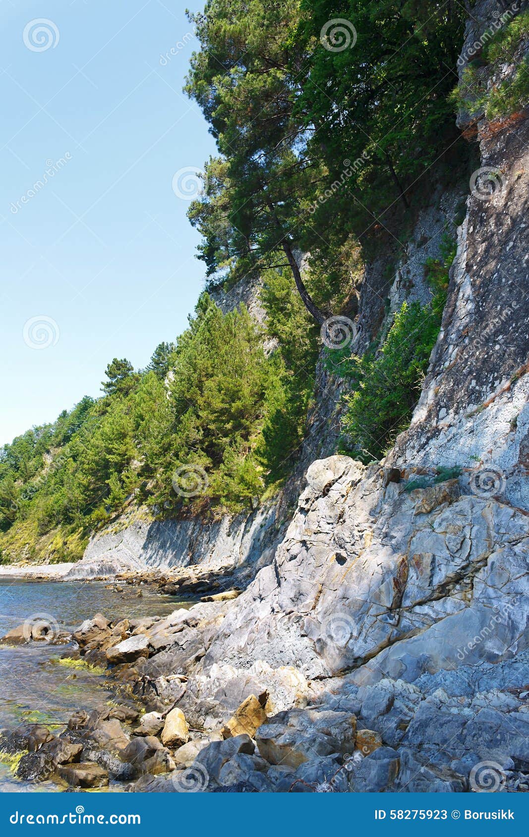 Beautiful Rocky Beach with Pine Trees on Rocks Stock Image - Image of ...