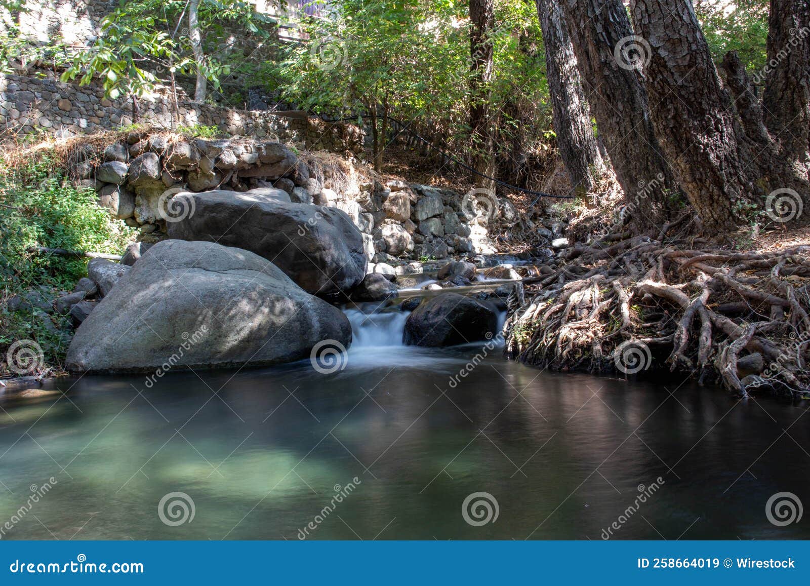 Beautiful Rocky Pond in a Forest Stock Image - Image of beautiful, cave ...