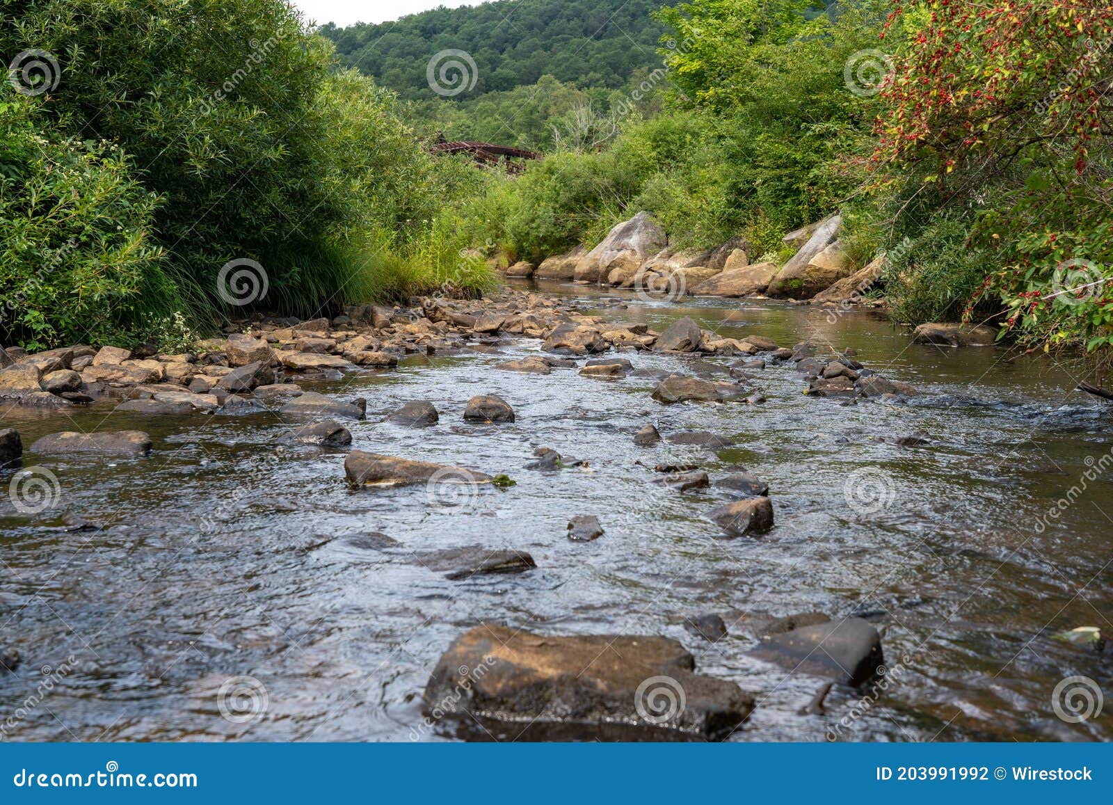 Beautiful Rocky Stream in the Wilderness Stock Photo - Image of hiking ...