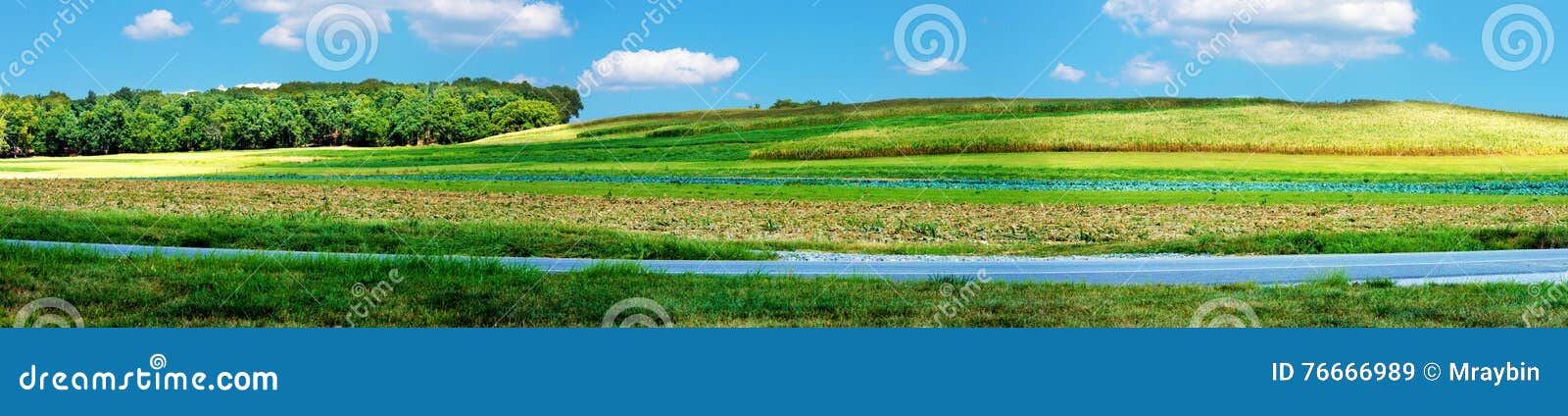 Beautiful Rolling Corn Field Hills in Pennsylvania Stock Image - Image ...