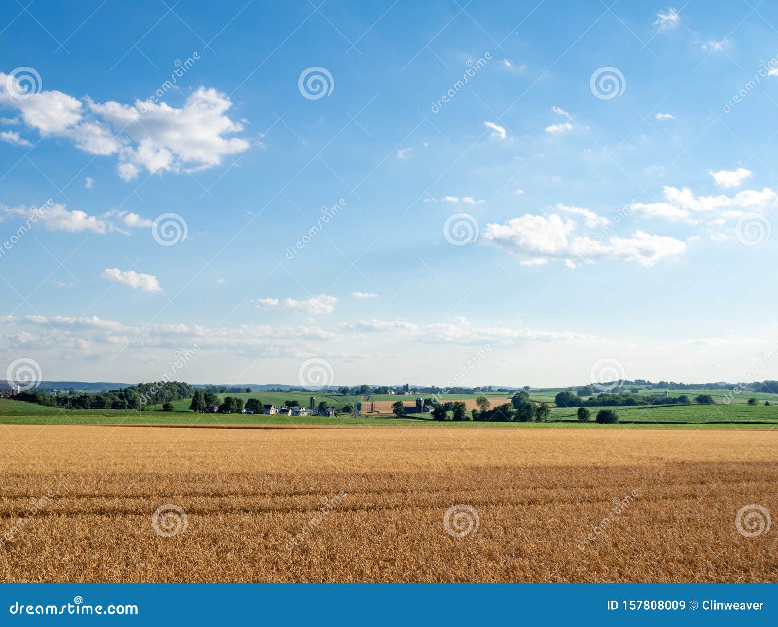 Rolling Farmland Countryside Stock Image - Image of hill, green: 157808009