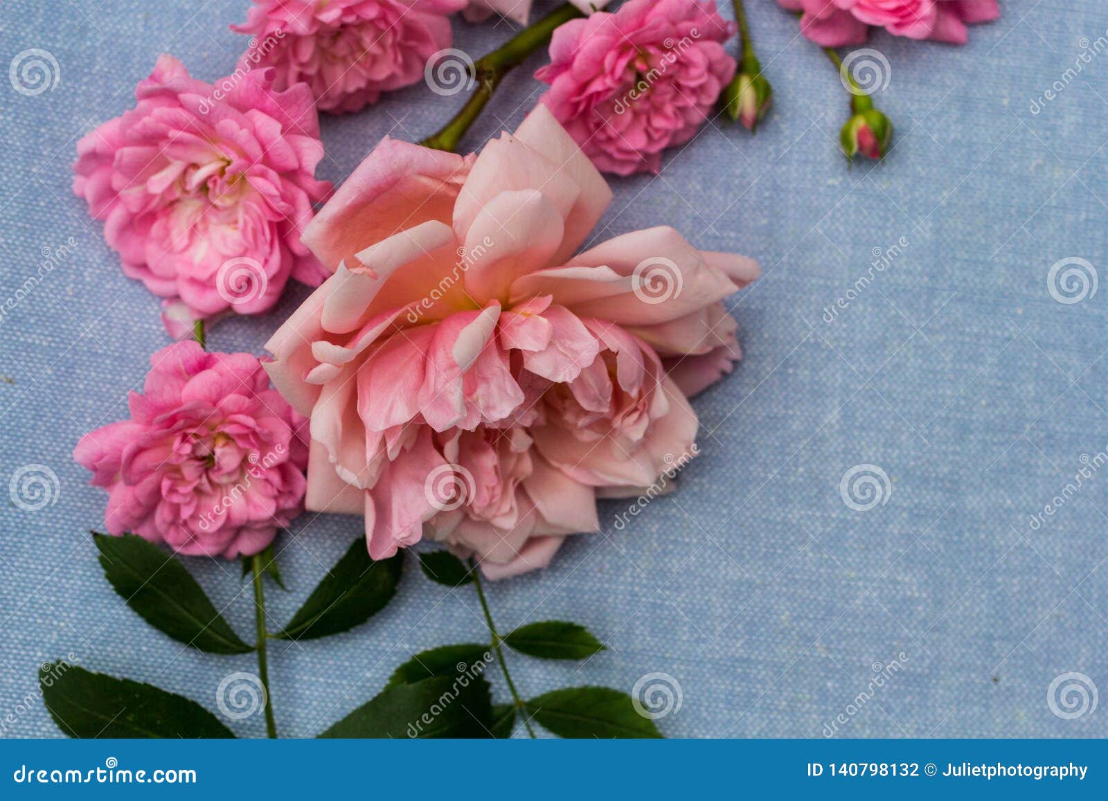 Beautiful, Romantic Rosy Frame Background Stock Photo - Image of rosy ...
