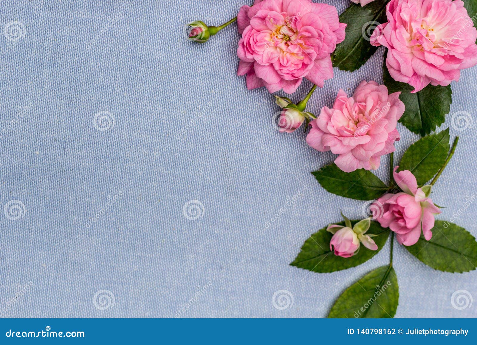 Beautiful, Pink Lovely Rosy Frame Background Stock Photo - Image of ...