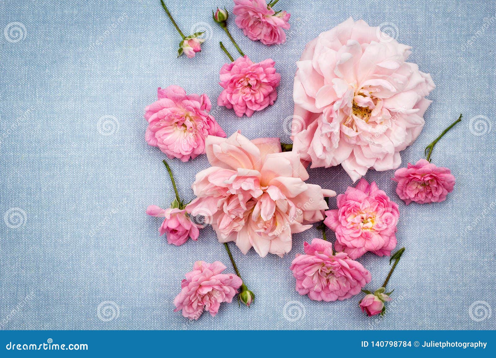 Beautiful, Romantic Rosy Background Stock Photo - Image of abstract ...