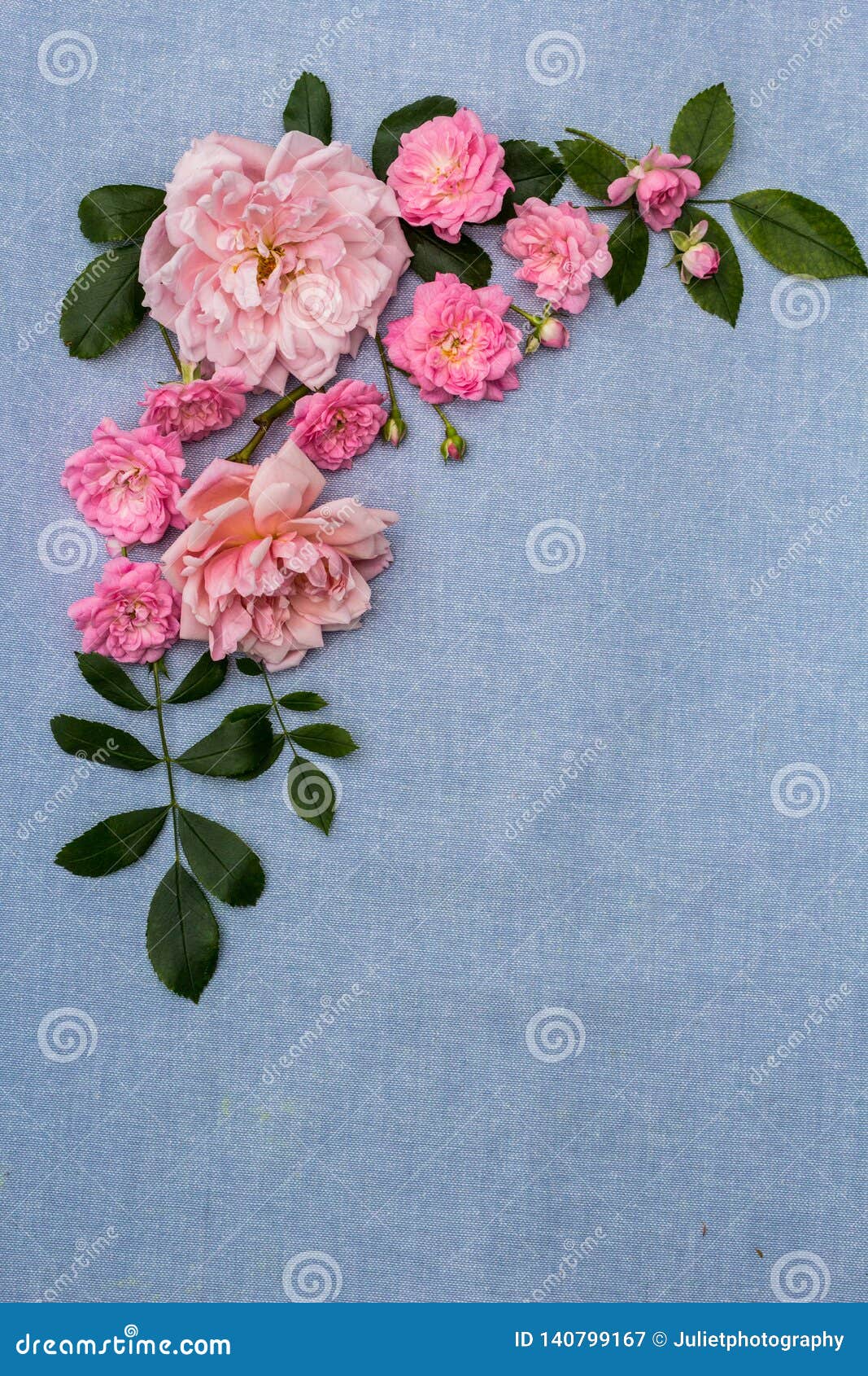 Beautiful, Romantic Rosy Background Stock Image - Image of abstract ...