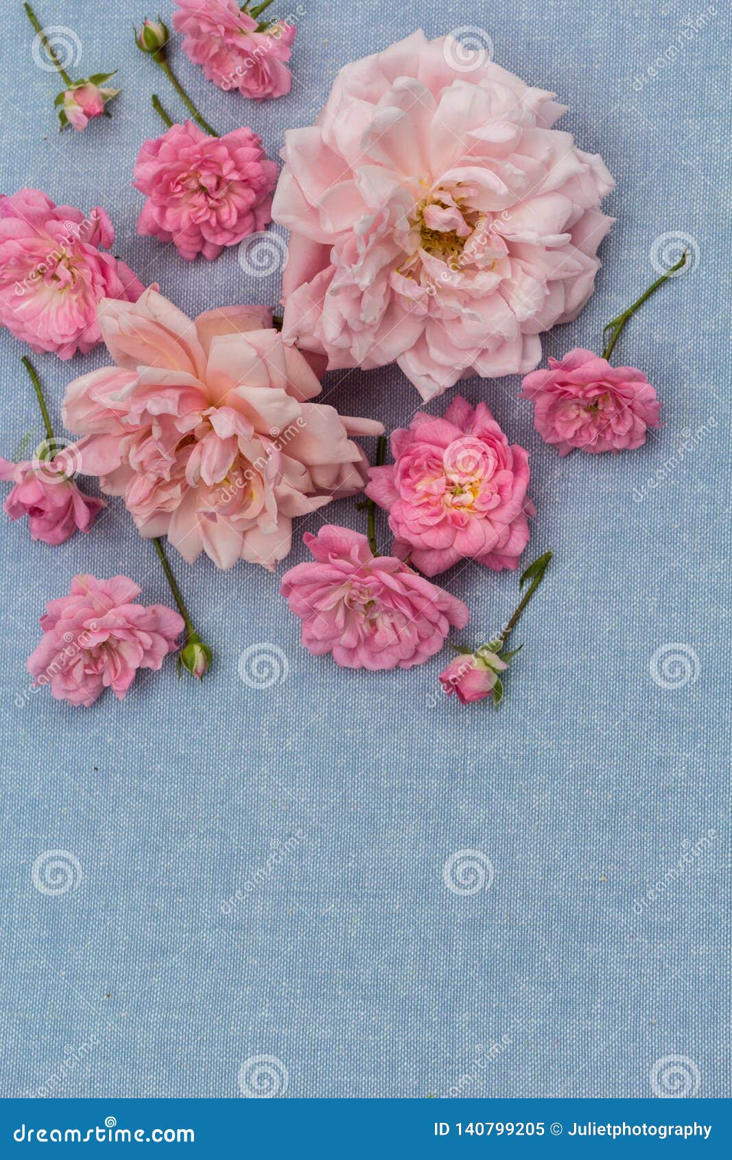 Beautiful, Romantic Rosy Background Stock Image - Image of blue ...