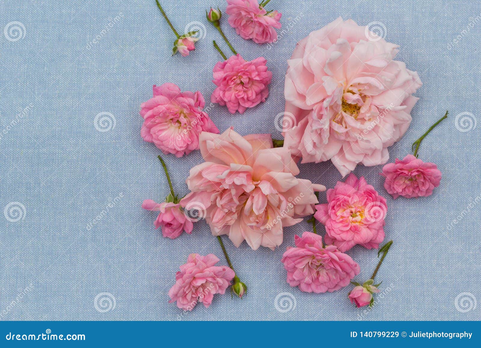 Beautiful, Romantic Rosy Background Stock Image - Image of artistic ...