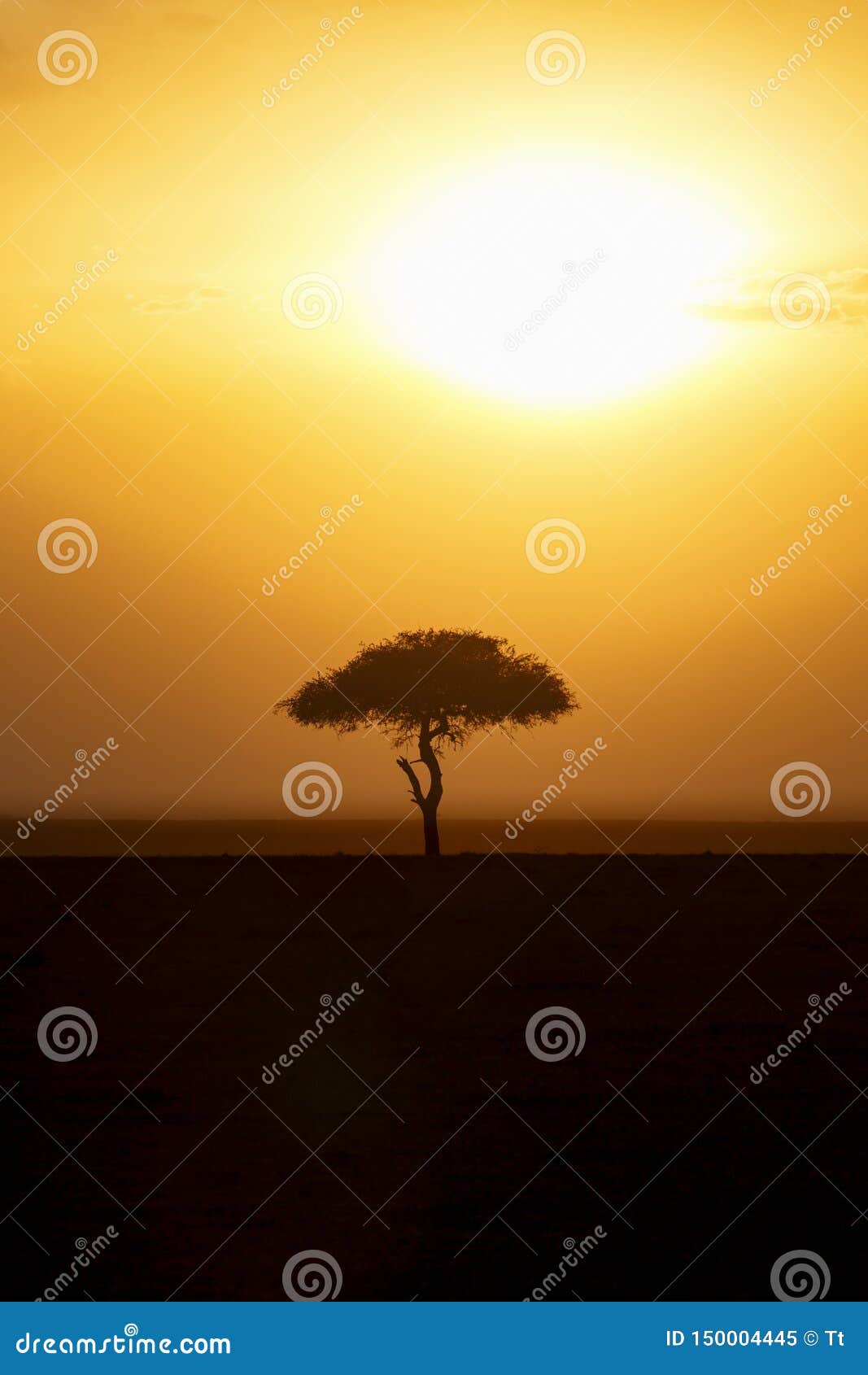Beautiful Romantic Sunset with a Single Tree in Silhouette on the ...