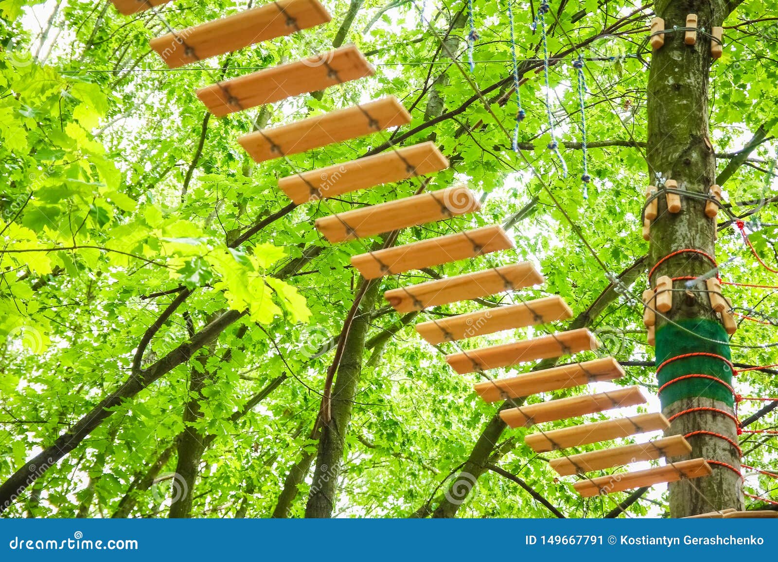 Beautiful Rope and Net Climbing in the Park on the Nature Stock Image ...