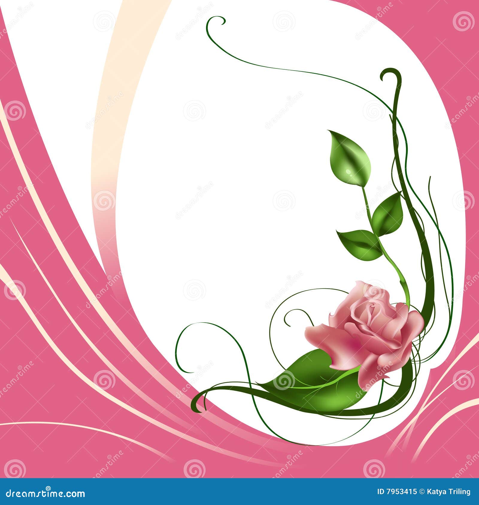 Beautiful rose stock vector. Illustration of design, frame - 7953415