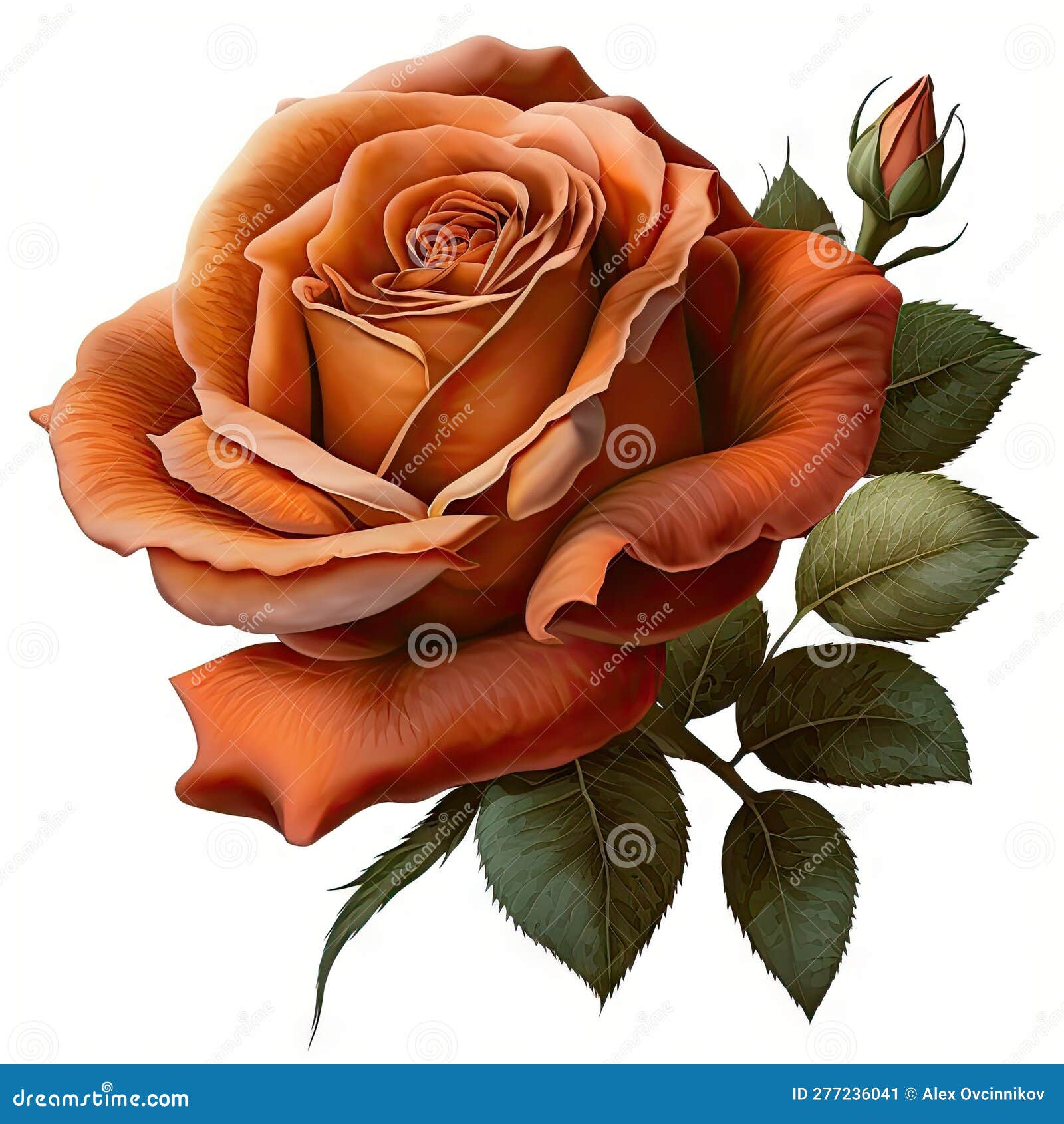 Beautiful Rose Artwork for Invitations and Posters. Stock Illustration ...