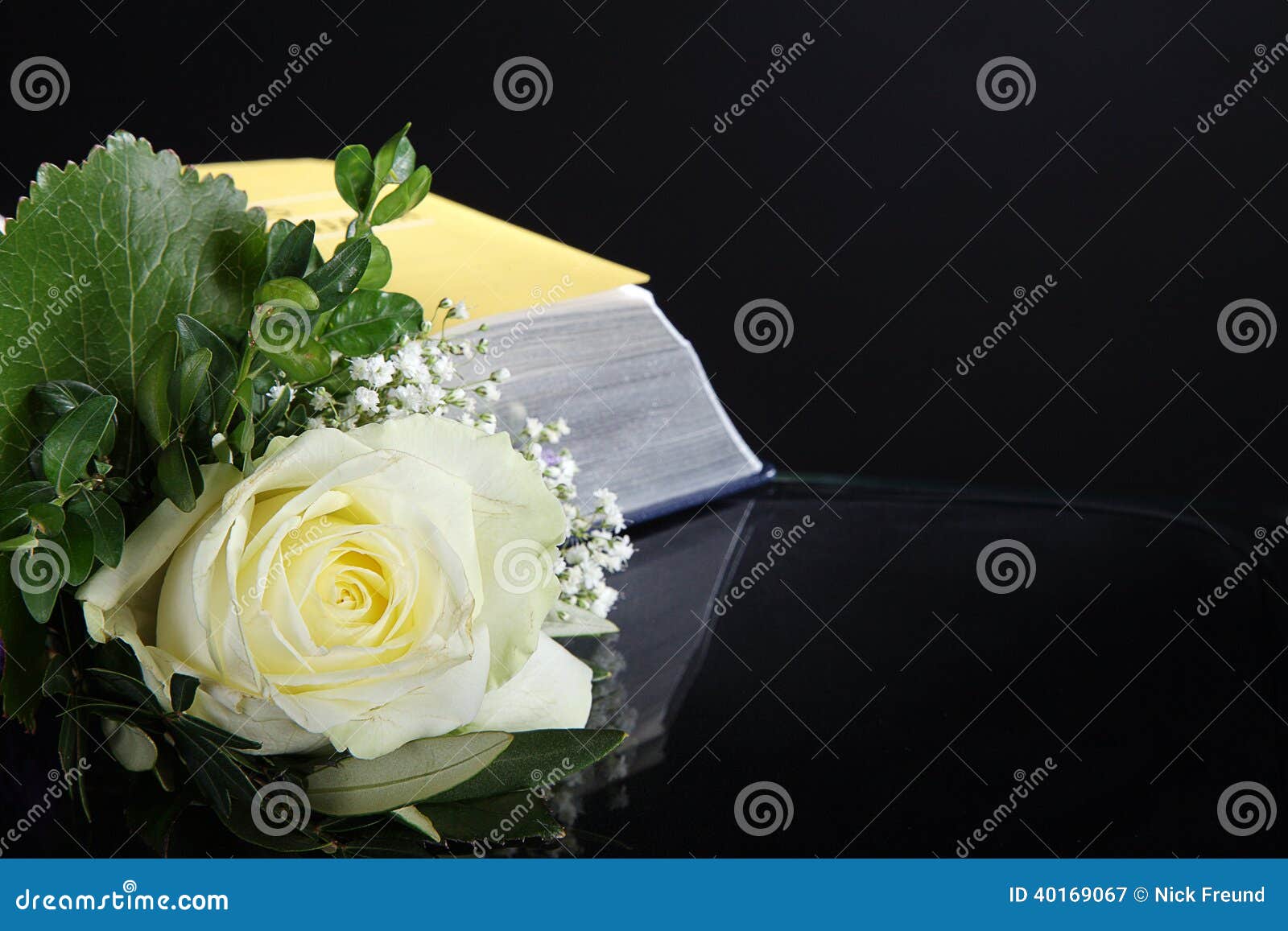 Beautiful rose with a book stock image. Image of petals - 40169067