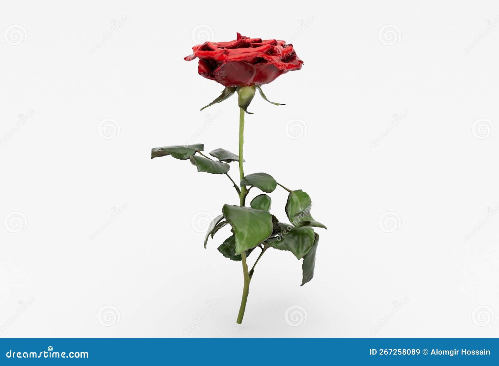 Beautiful Rose 3d Illustration Minimal Rendering on White Background ...