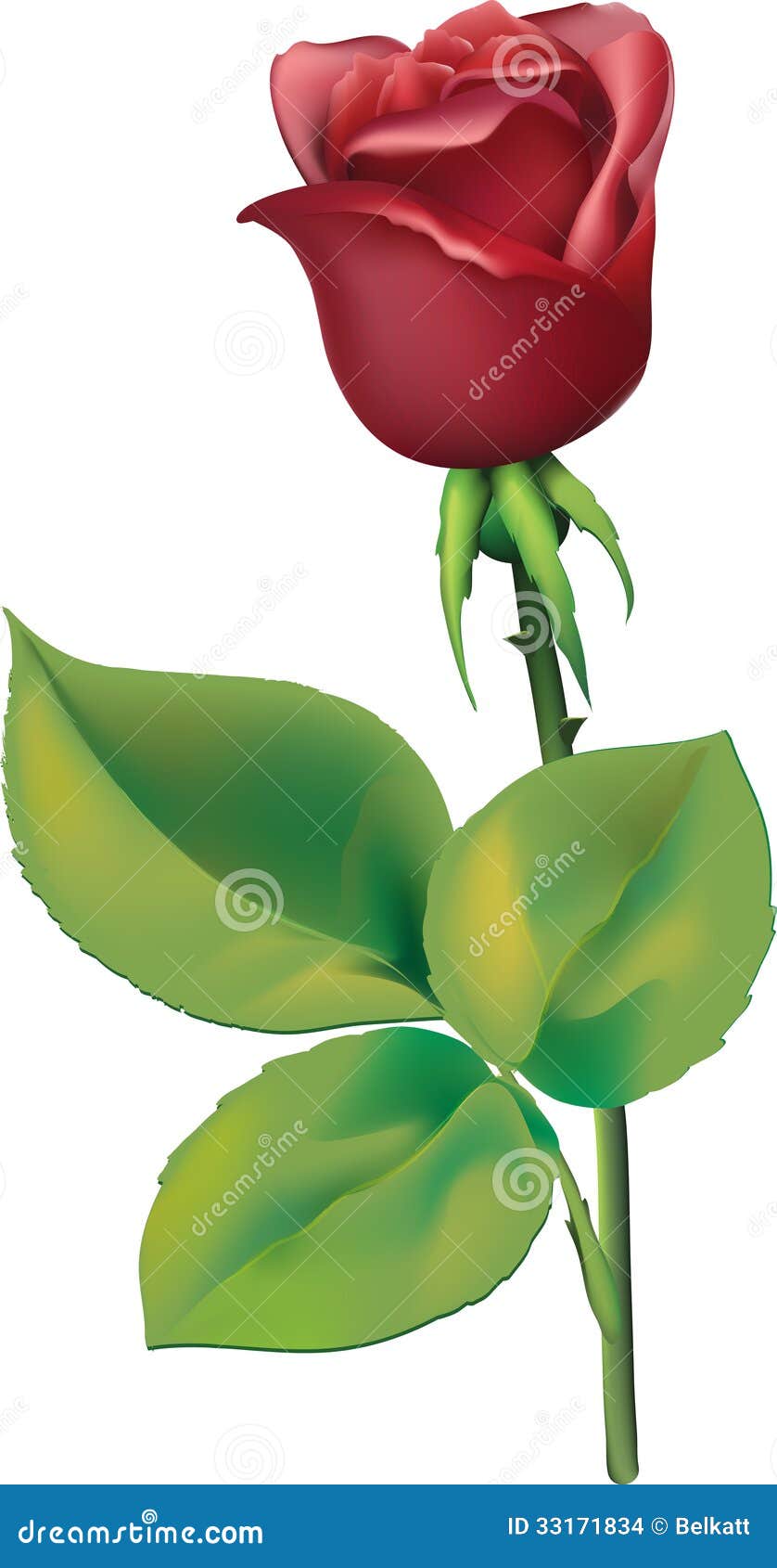 Beautiful rose stock vector. Illustration of happy, celebrate - 33171834