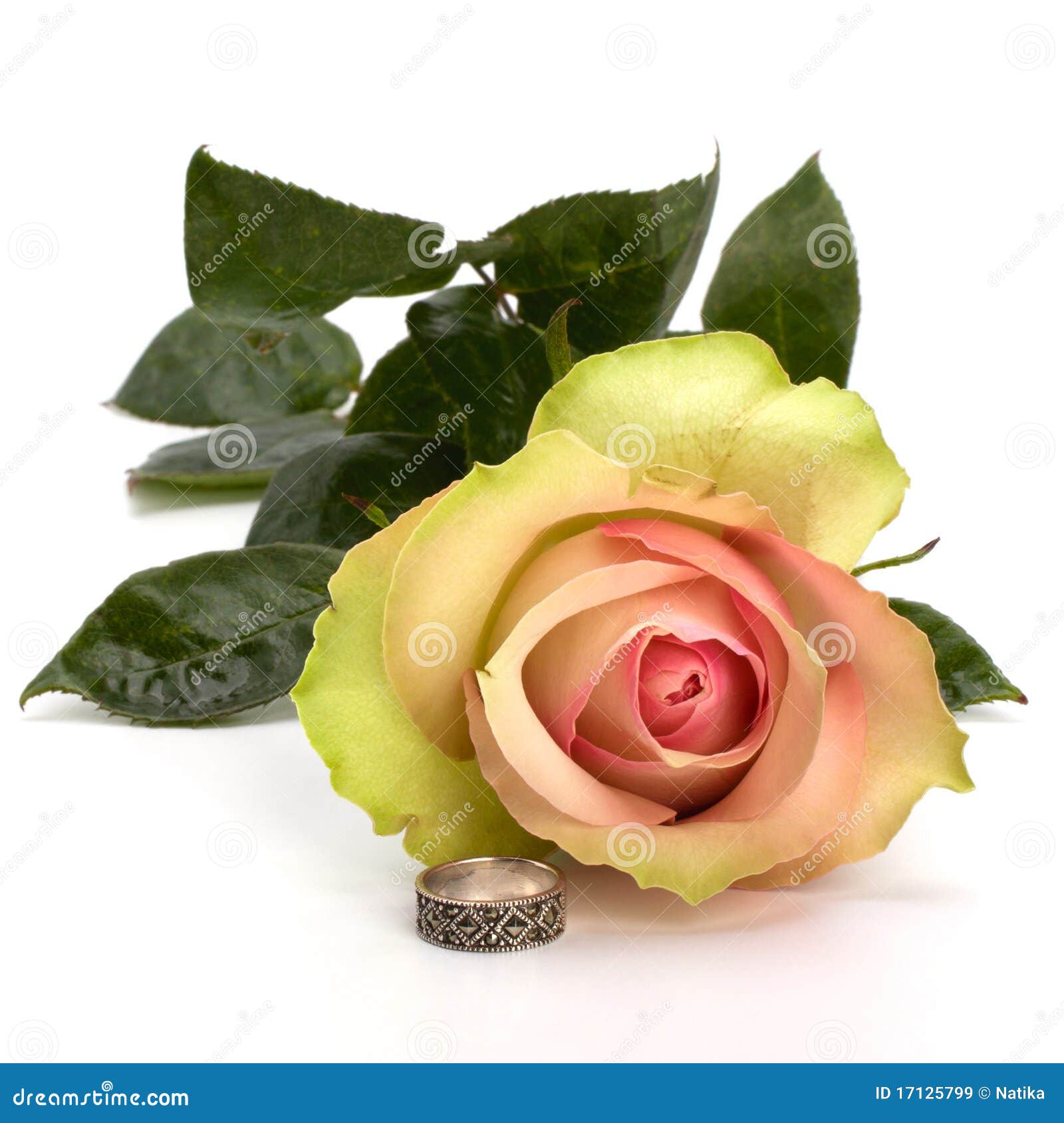 Beautiful Rose With Wedding Ring Stock Image - Image of bunch, gift ...